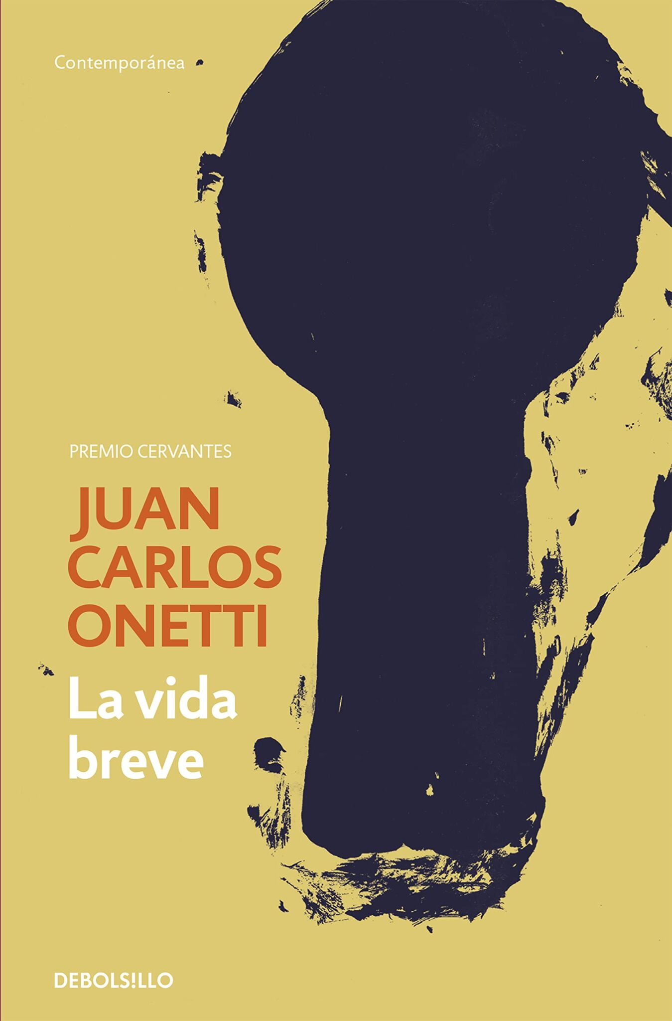 La vida breve: una novela de Juan Carlos Onetti sobre el desencanto y ...