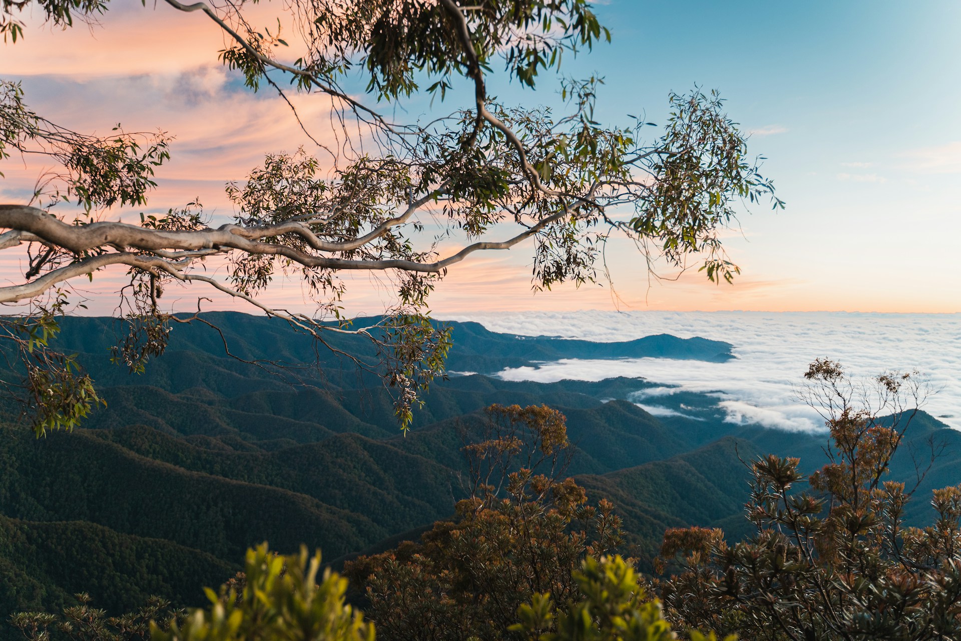 El invitado ambicioso: Un cuento de Nathaniel Hawthorne